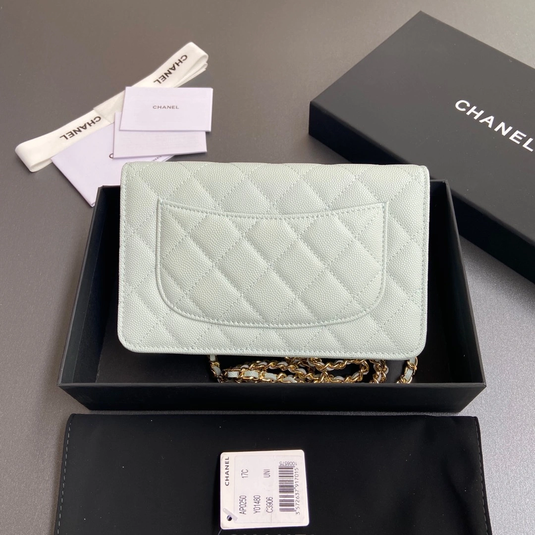 Exact replica Chanel WOC Bags