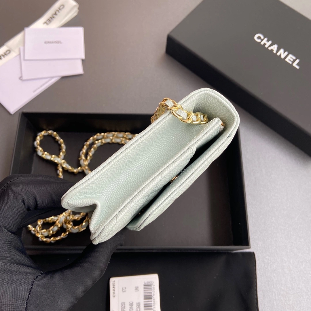 Exact replica Chanel WOC Bags
