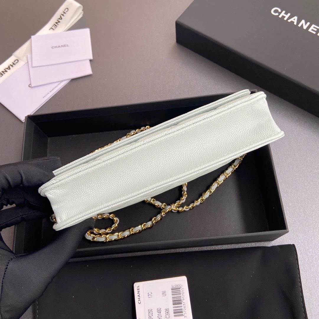 Exact replica Chanel WOC Bags