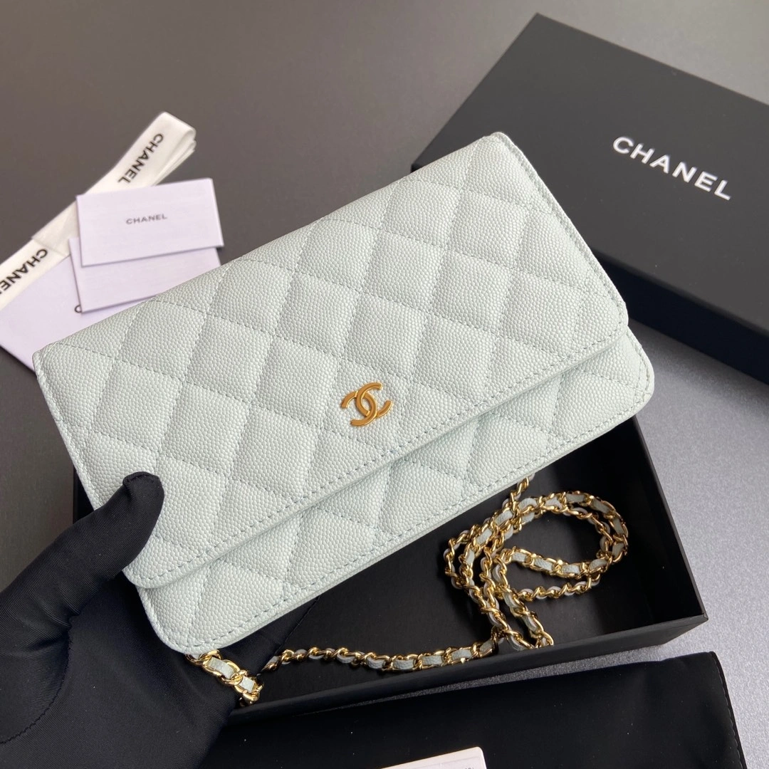 Exact replica Chanel WOC Bags