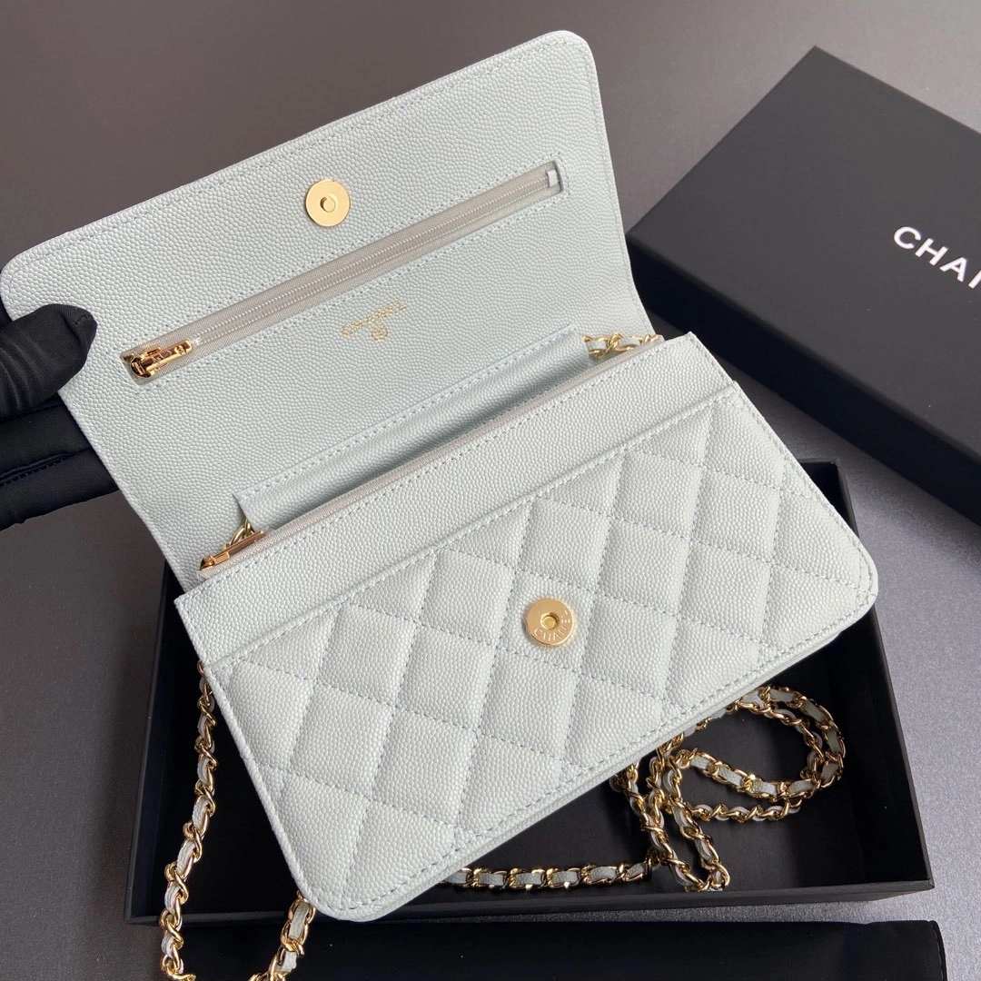Exact replica Chanel WOC Bags