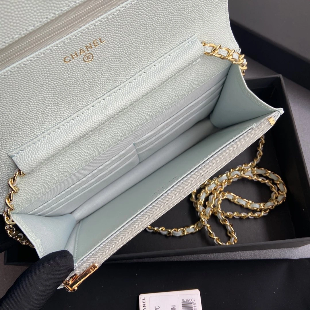 Exact replica Chanel WOC Bags