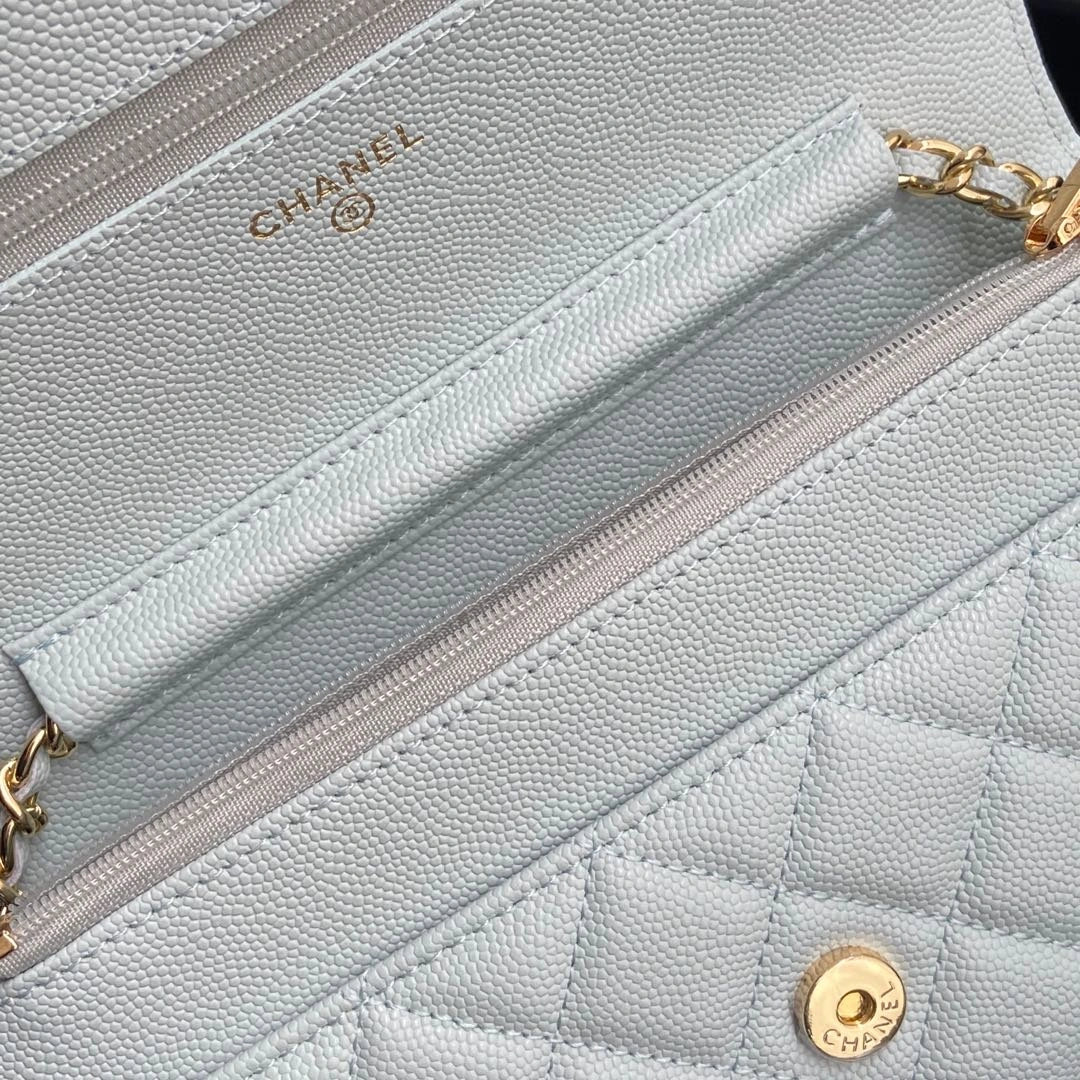Exact replica Chanel WOC Bags