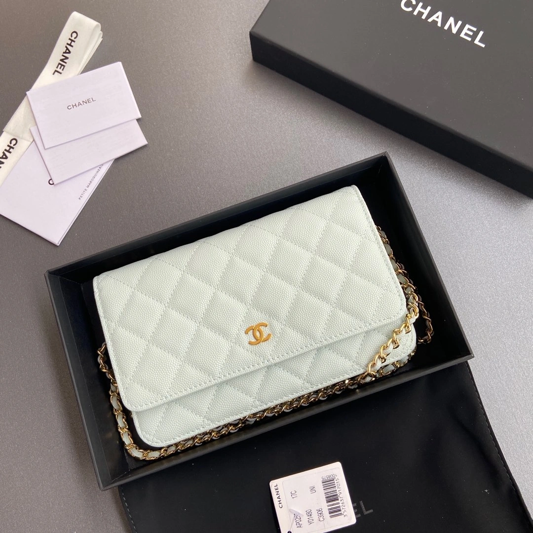 Exact replica Chanel WOC Bags