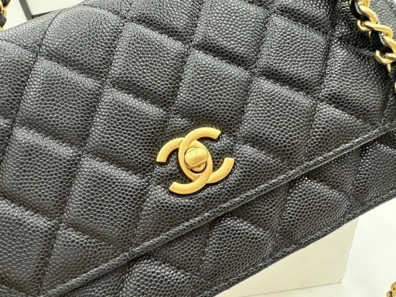 Top mirror Chanel WOC Bags