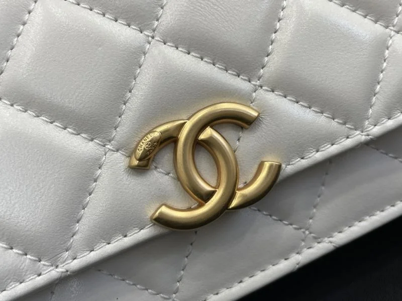 Mirror quality Chanel WOC Bags