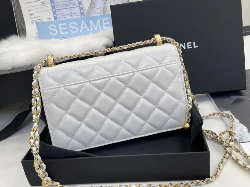 Mirror quality Chanel WOC Bags