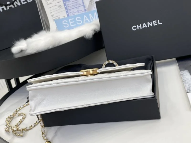 Mirror quality Chanel WOC Bags