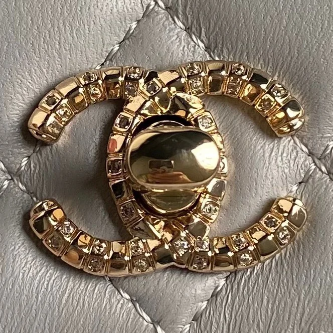 Real Chanel WOC Bags