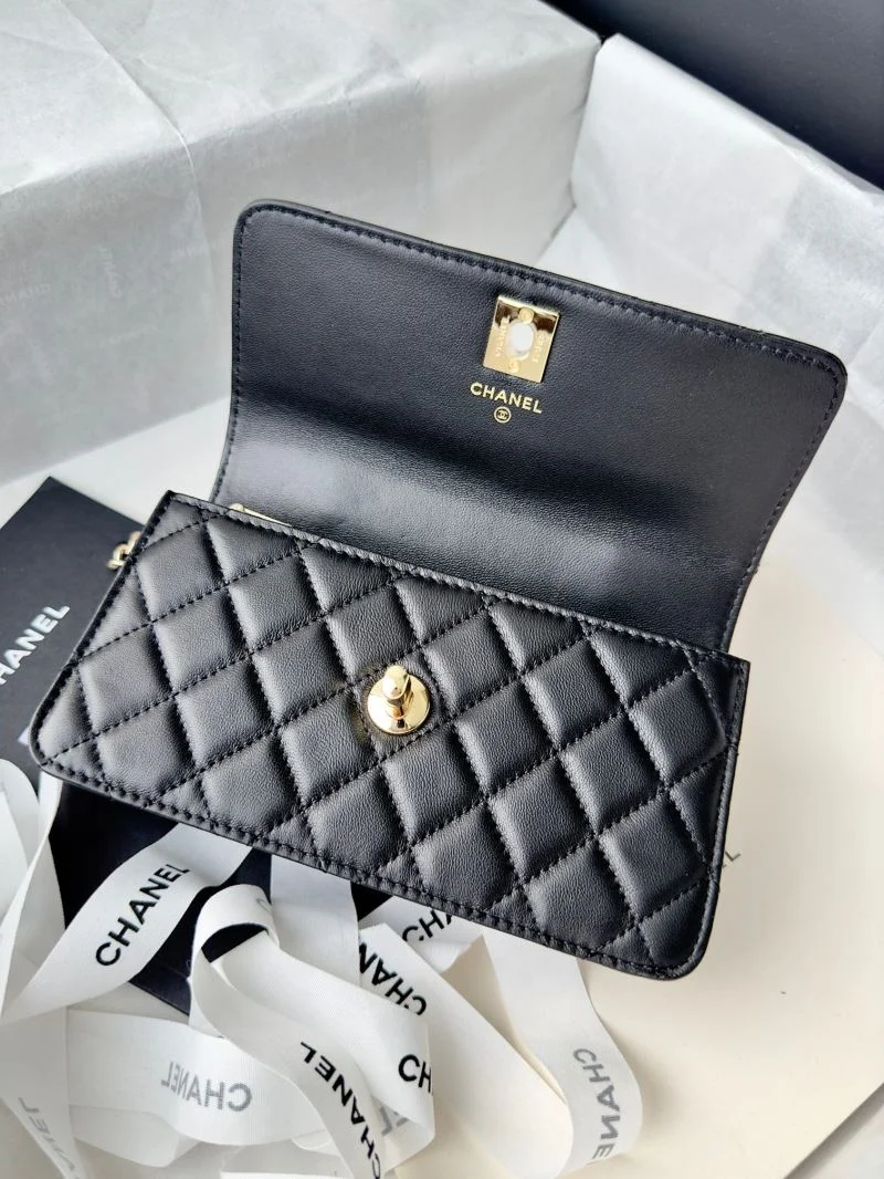 1:1 copy Chanel WOC Bags
