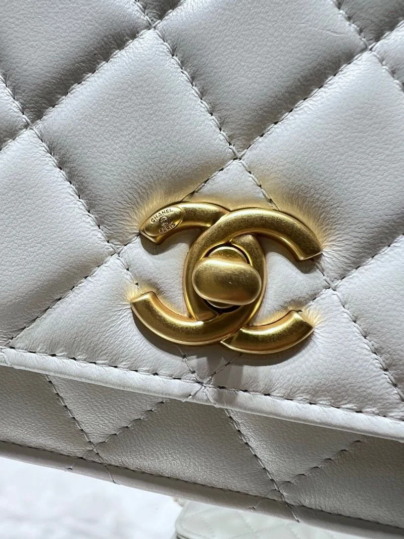 Official Chanel WOC Bags