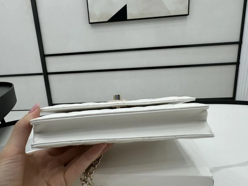 Inexpensive Chanel WOC Bags