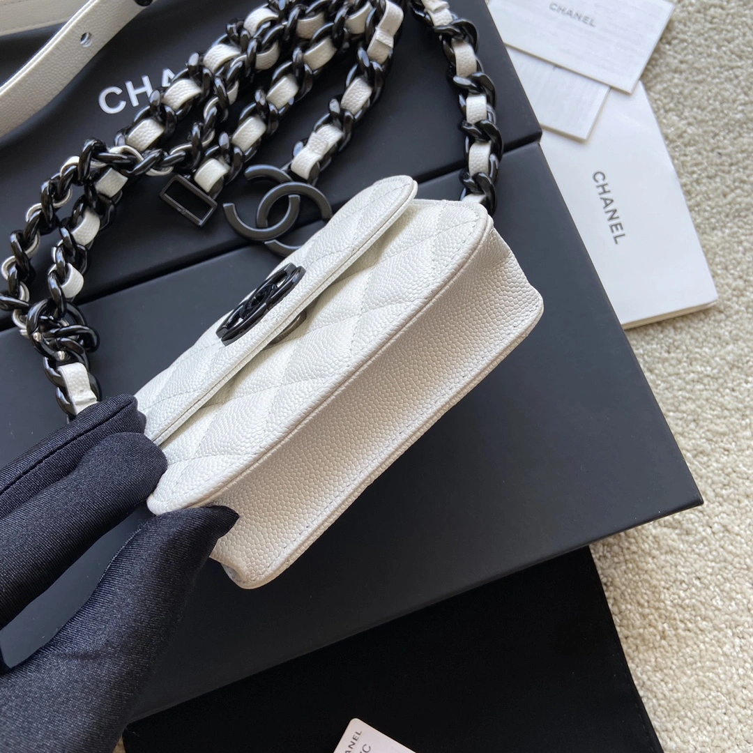 Accurate model Chanel Wallets Purse