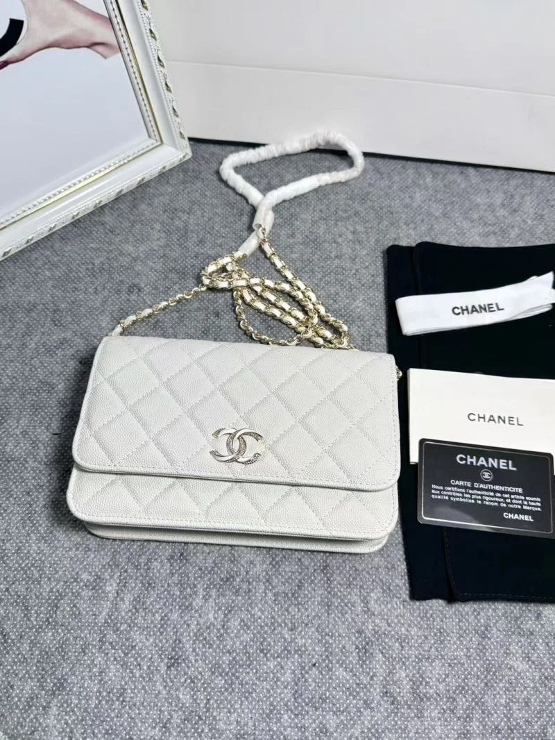 Reasonably priced Chanel Woc Bags