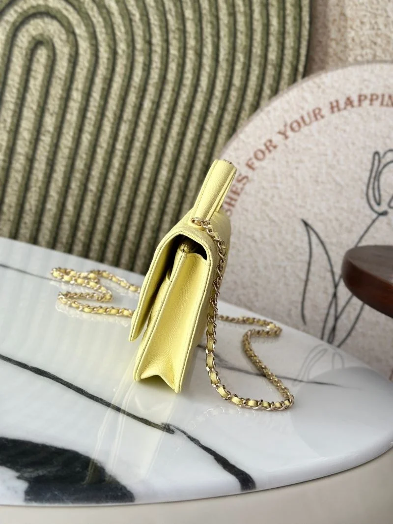 High fidelity Chanel Woc Bags