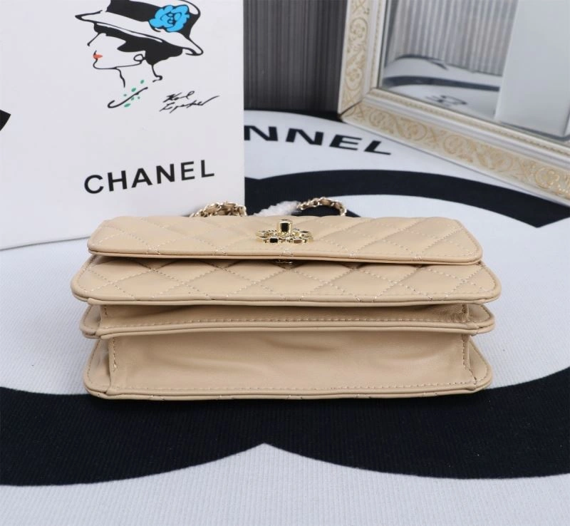 Top mirror Chanel Woc Bags
