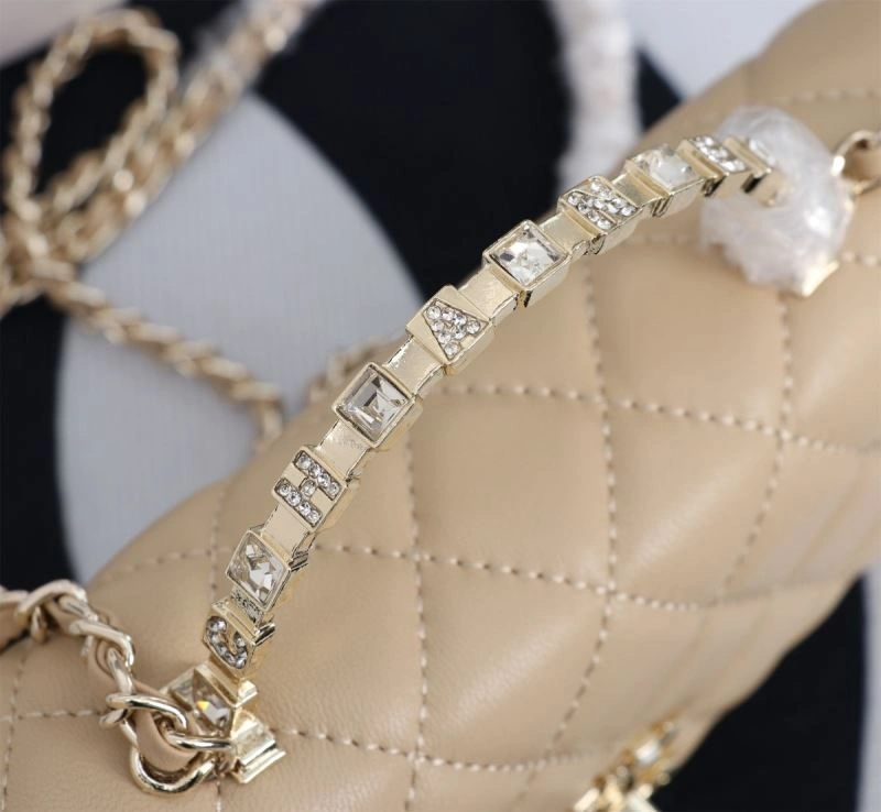 Top mirror Chanel Woc Bags