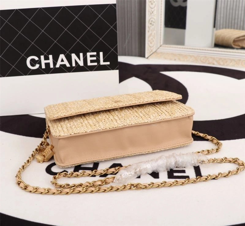 Top mirror Chanel Woc Bags