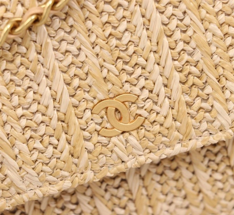 Top mirror Chanel Woc Bags