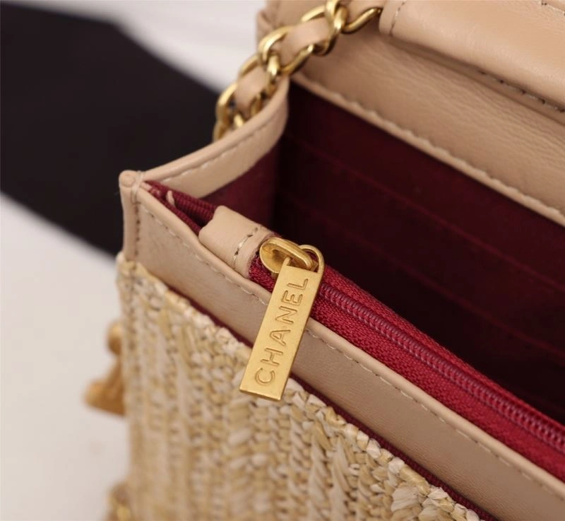 Top mirror Chanel Woc Bags