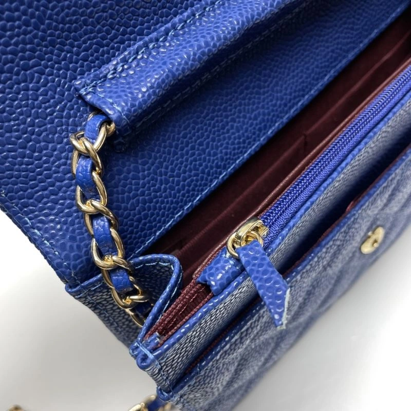 Top mirror Chanel Woc Bags