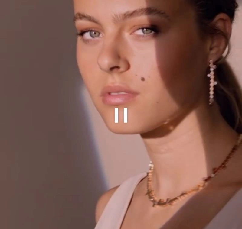 Brand-authenticated Chaumet Earrings