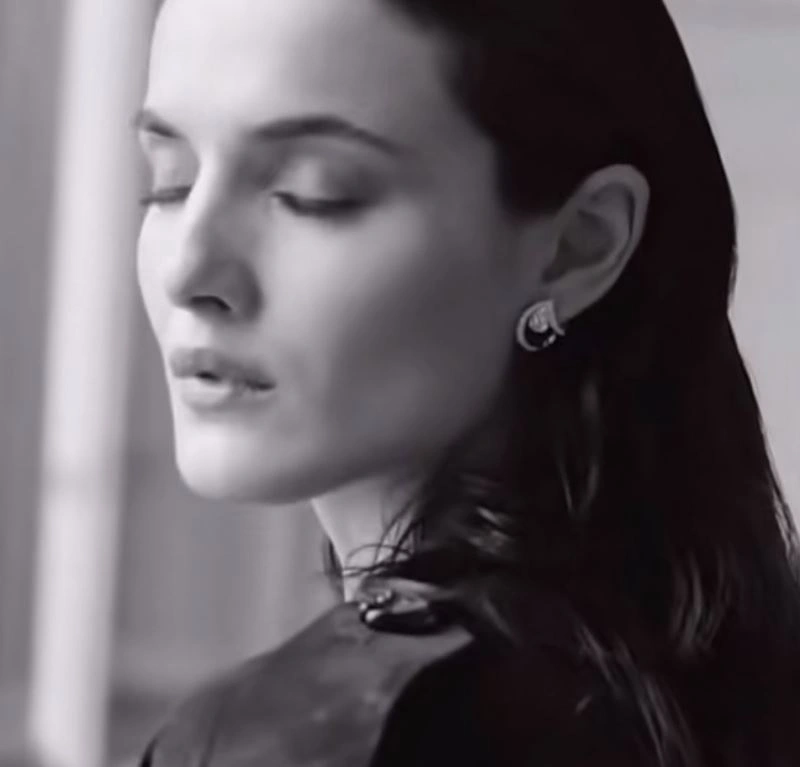 Bargain Chaumet Earrings