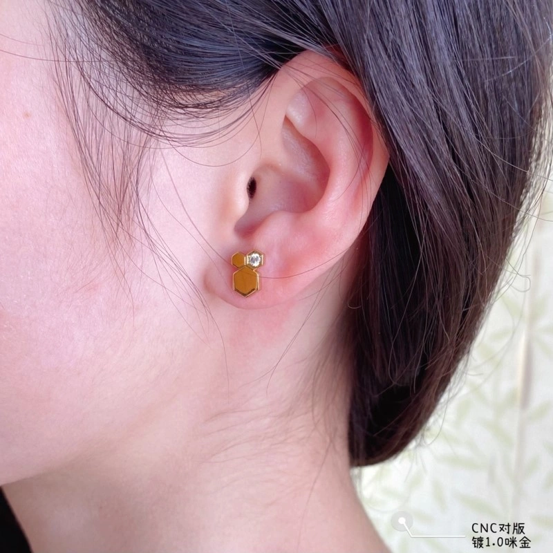 Reasonably priced Chaumet Earrings
