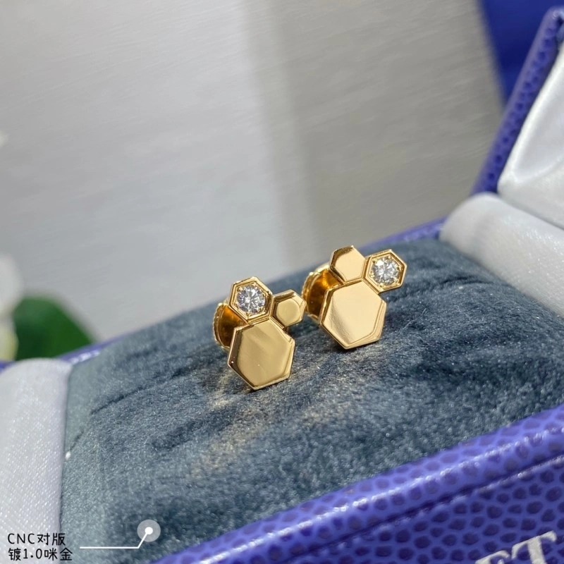 Reasonably priced Chaumet Earrings