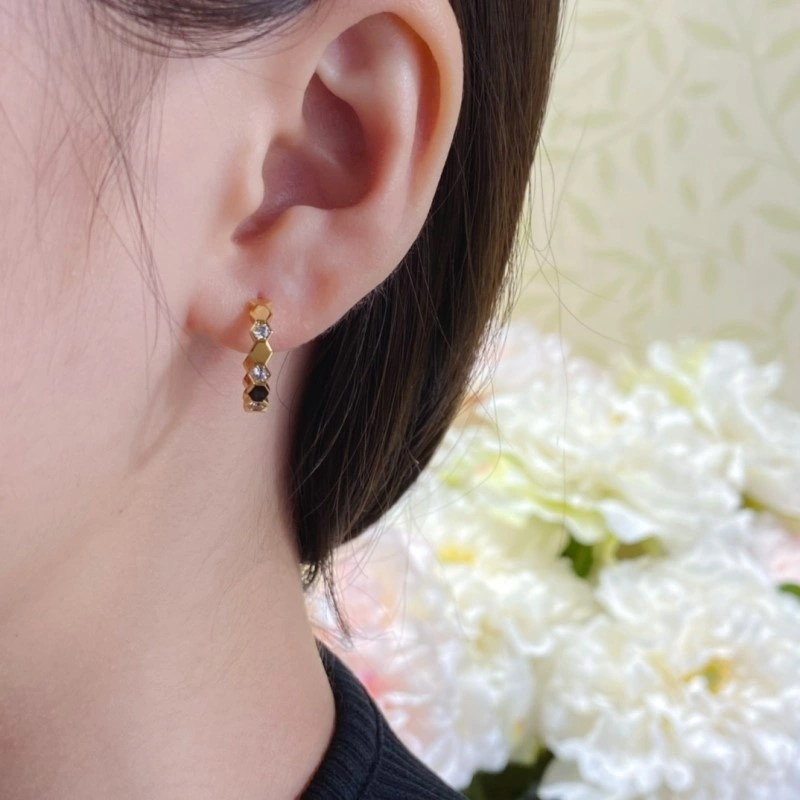 Value-priced Chaumet Earrings