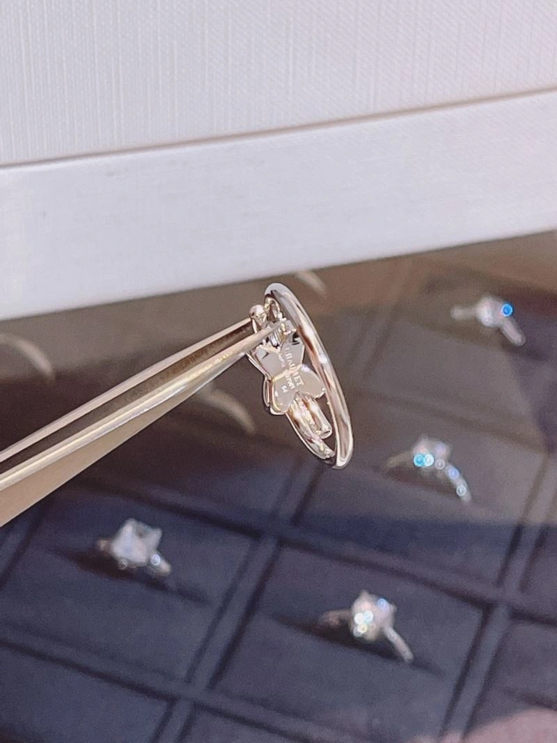 Accurate model Chaumet Rings