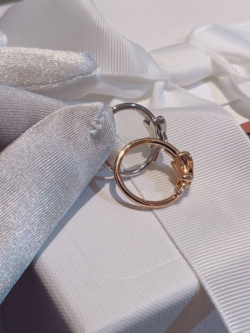 Accurate model Chaumet Rings