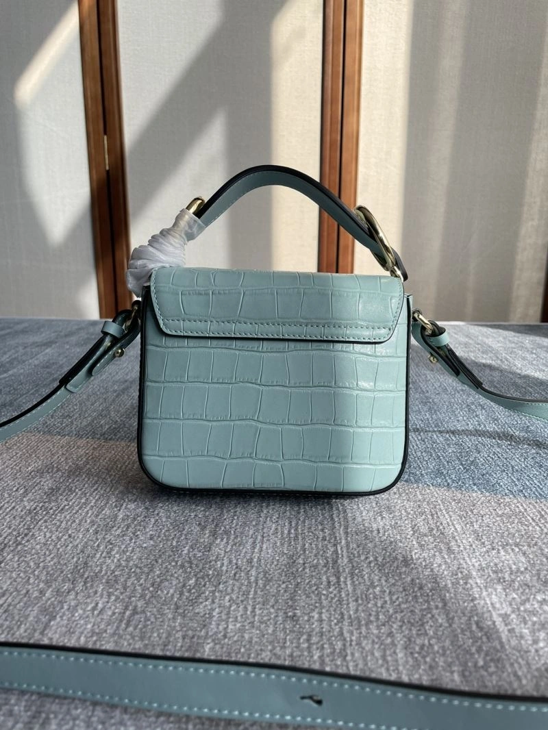 Accurate model Chloe C Bag