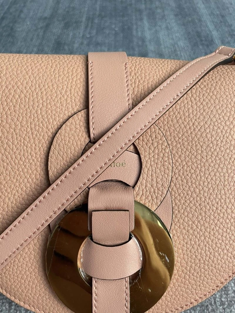 High accuracy Chloe Darryl Bags