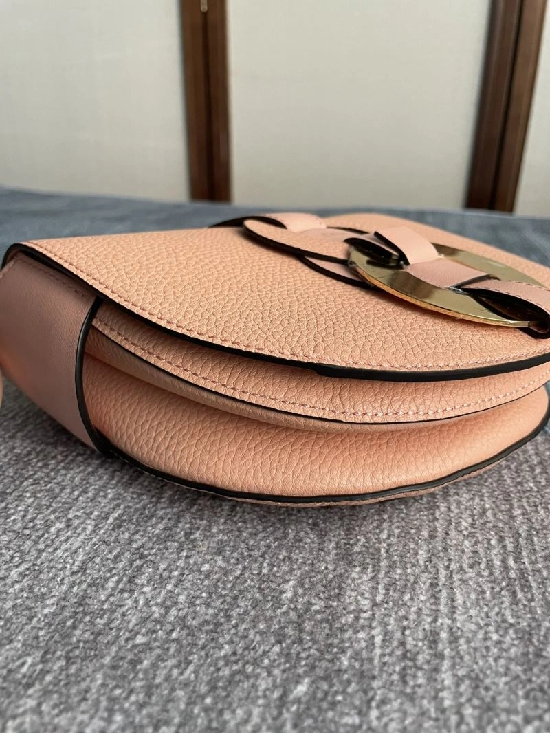 High accuracy Chloe Darryl Bags