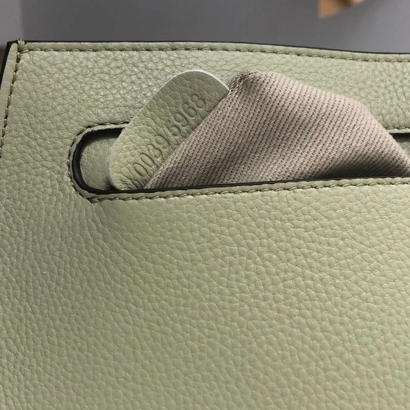 Indistinguishable Chloe Marcie Bags