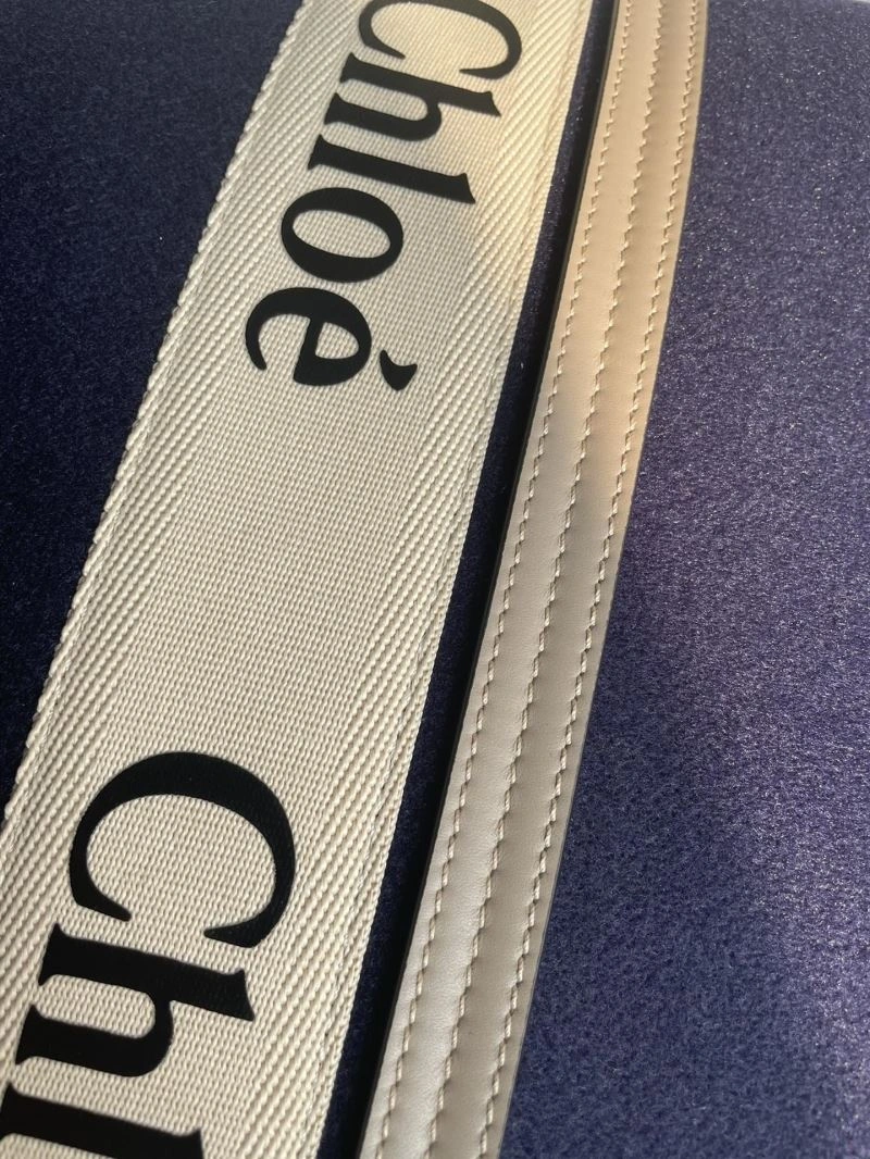 Precise copy Chloe Shopping Bags