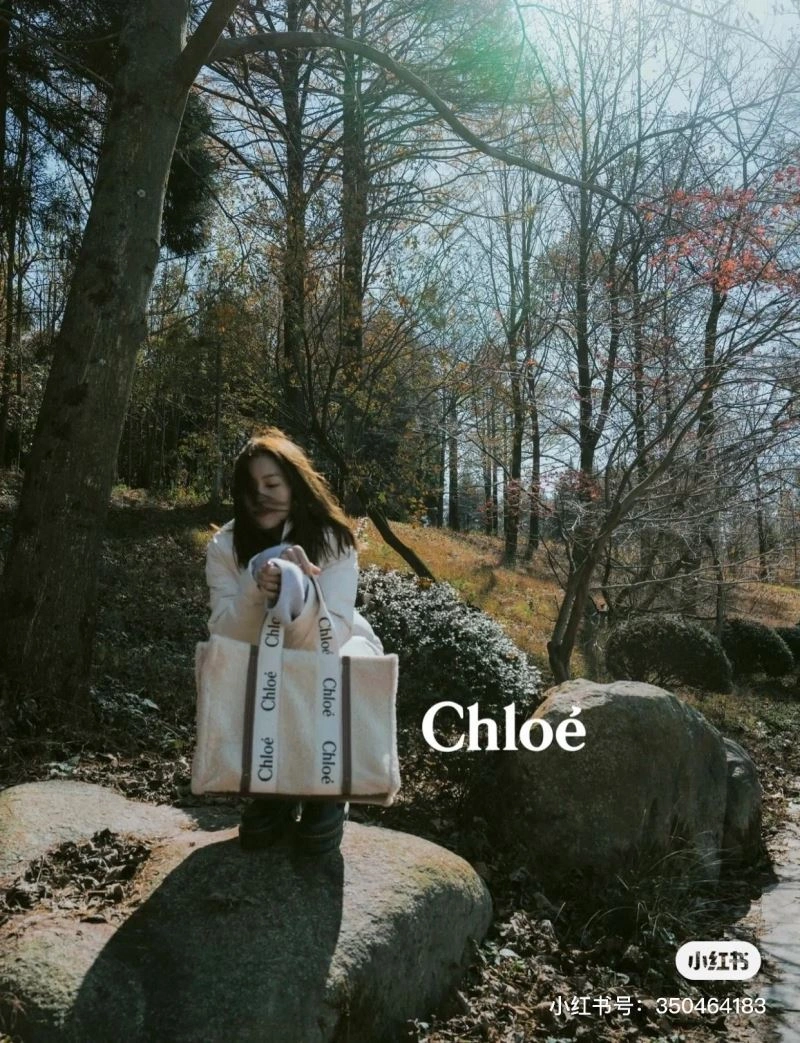 High fidelity Chloe Shopping Bags