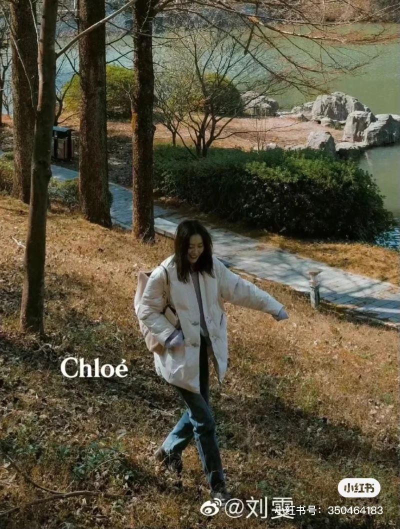 High fidelity Chloe Shopping Bags