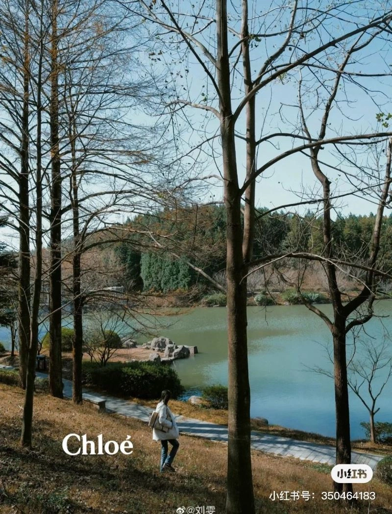 High fidelity Chloe Shopping Bags