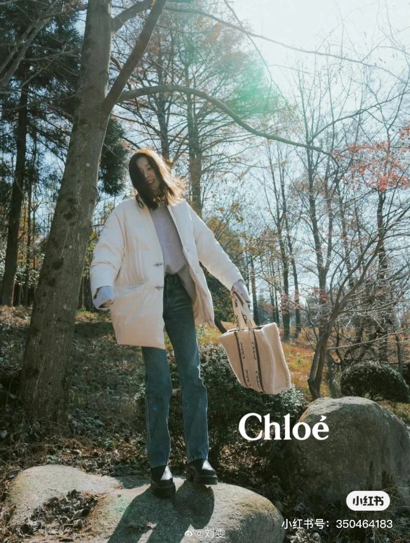 High fidelity Chloe Shopping Bags