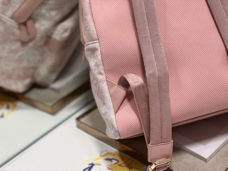 Reasonably priced Christian Dior Backpacks