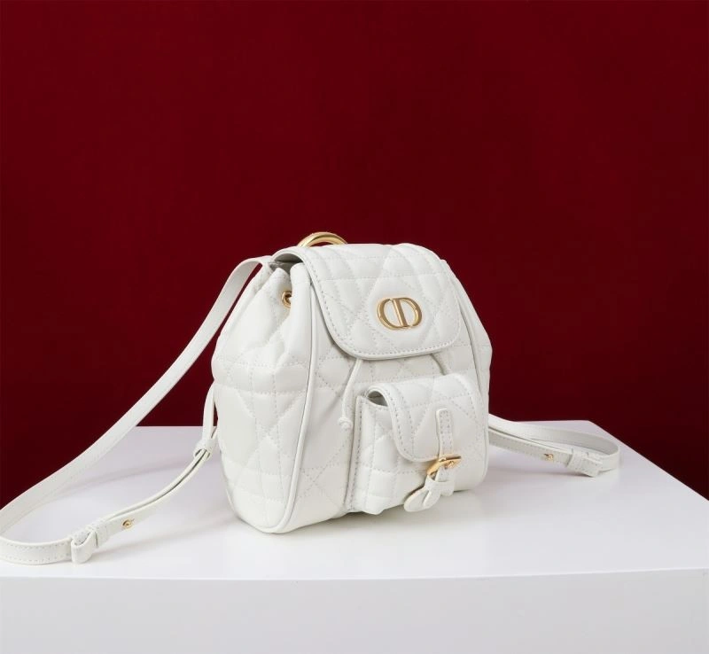 1:1 copy Christian Dior Backpacks