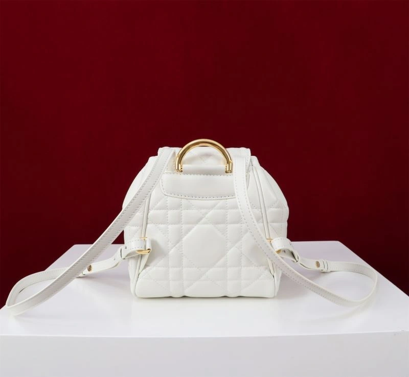1:1 copy Christian Dior Backpacks