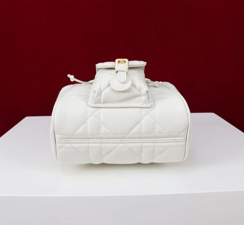 1:1 copy Christian Dior Backpacks