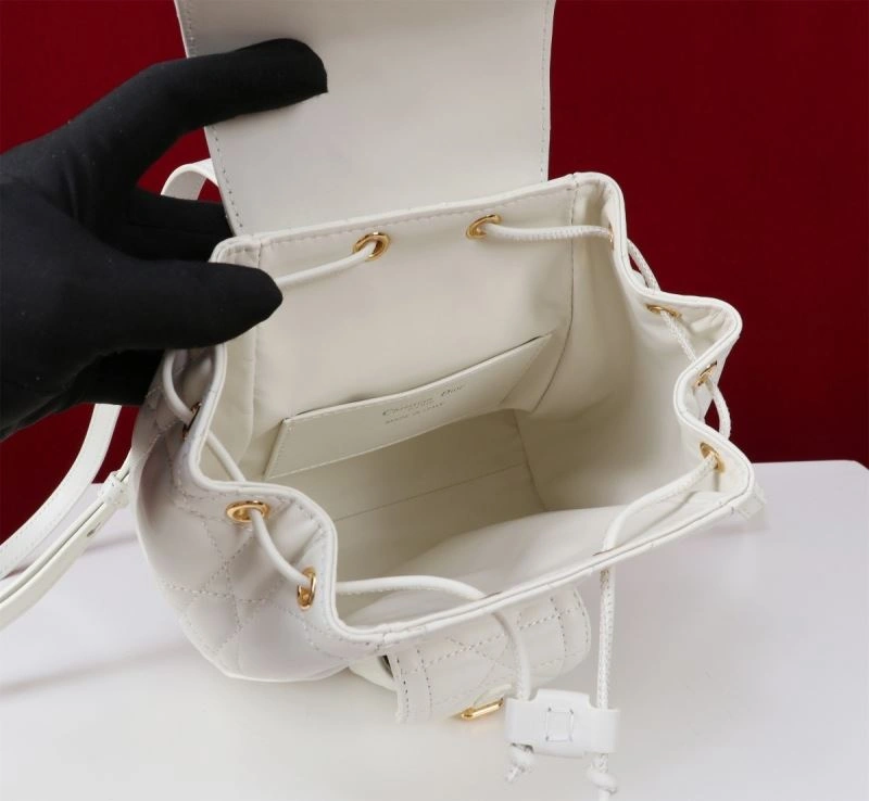 1:1 copy Christian Dior Backpacks