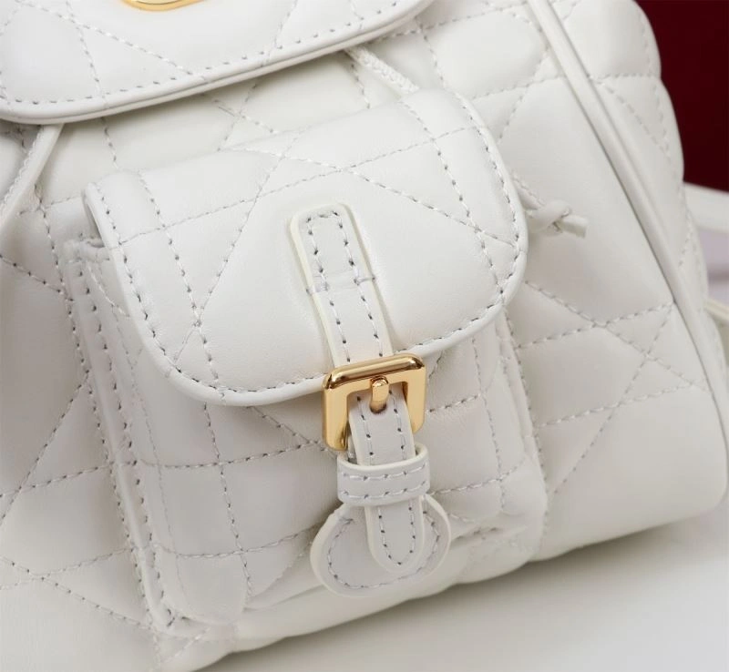1:1 copy Christian Dior Backpacks