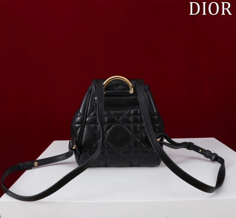 Top mirror Christian Dior Backpacks