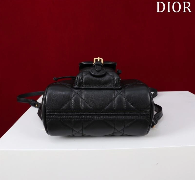 Top mirror Christian Dior Backpacks
