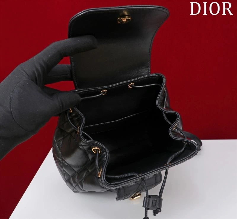 Top mirror Christian Dior Backpacks